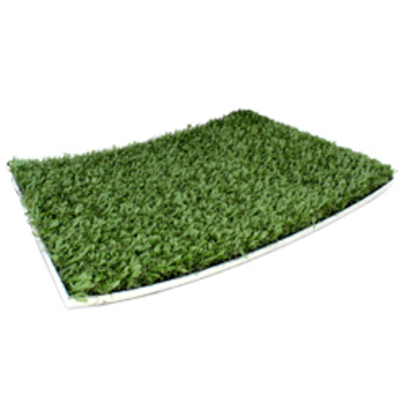 ProTurf Premier By The Roll With 5mm Backing